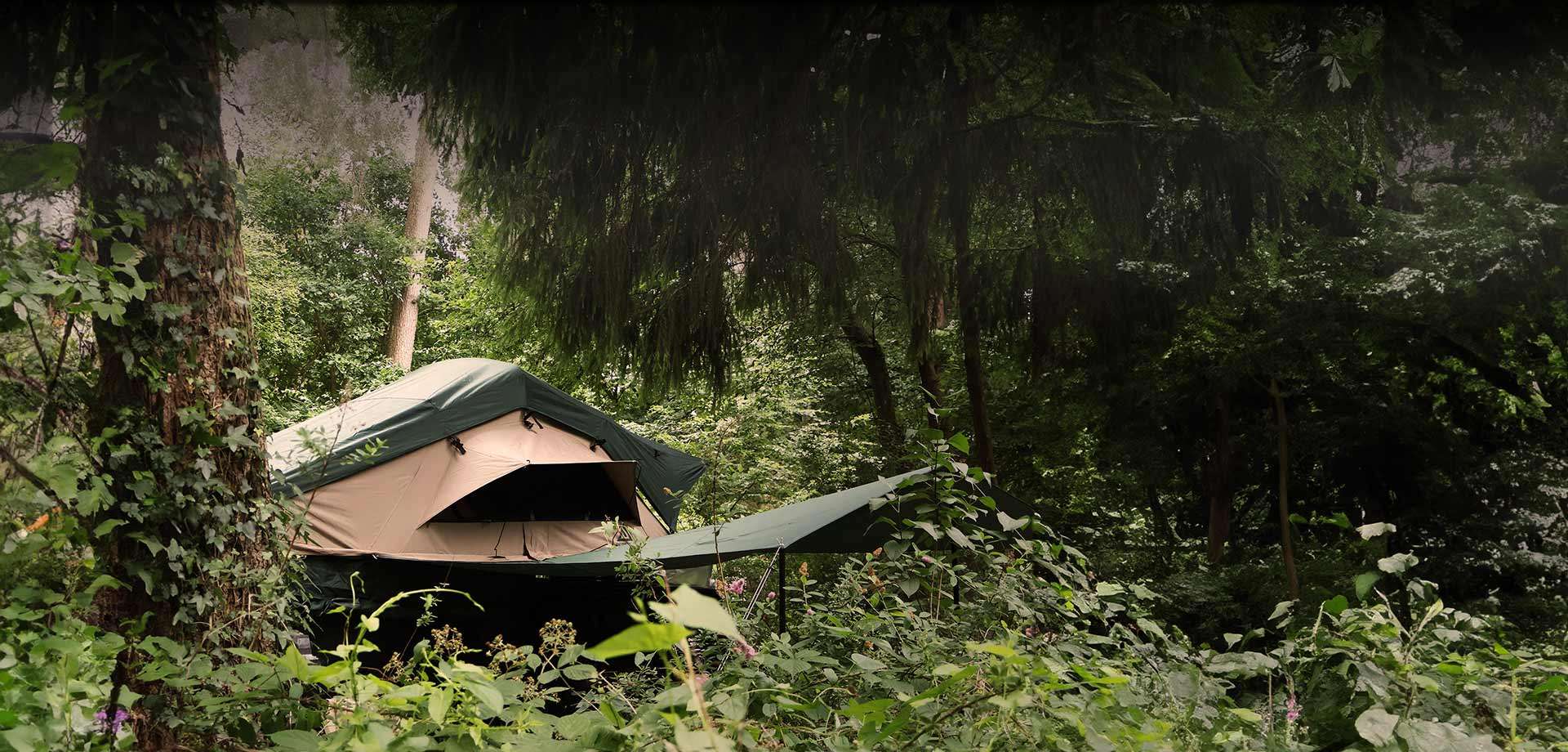 Groenberg - Erlebe die Natur in all ihren Facetten!